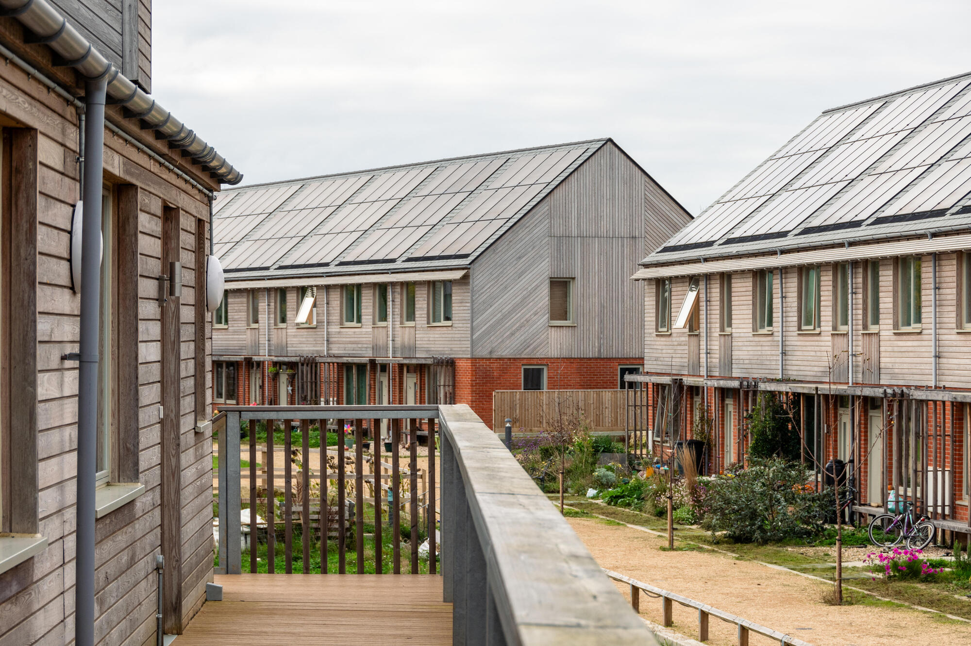 Hazelmead Bridport Co-Housing / Barefoot Architects | ArchDaily
