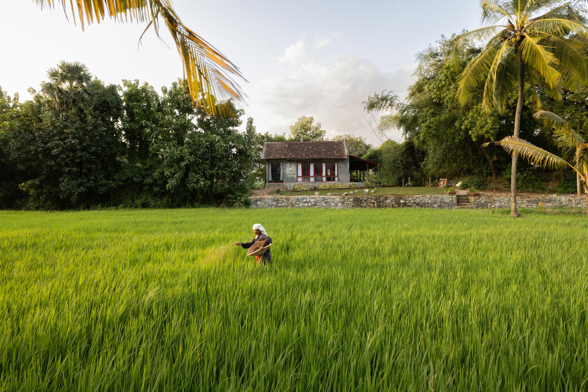 Gallery of Kalam by Paddy House / Smaall Architects - 19