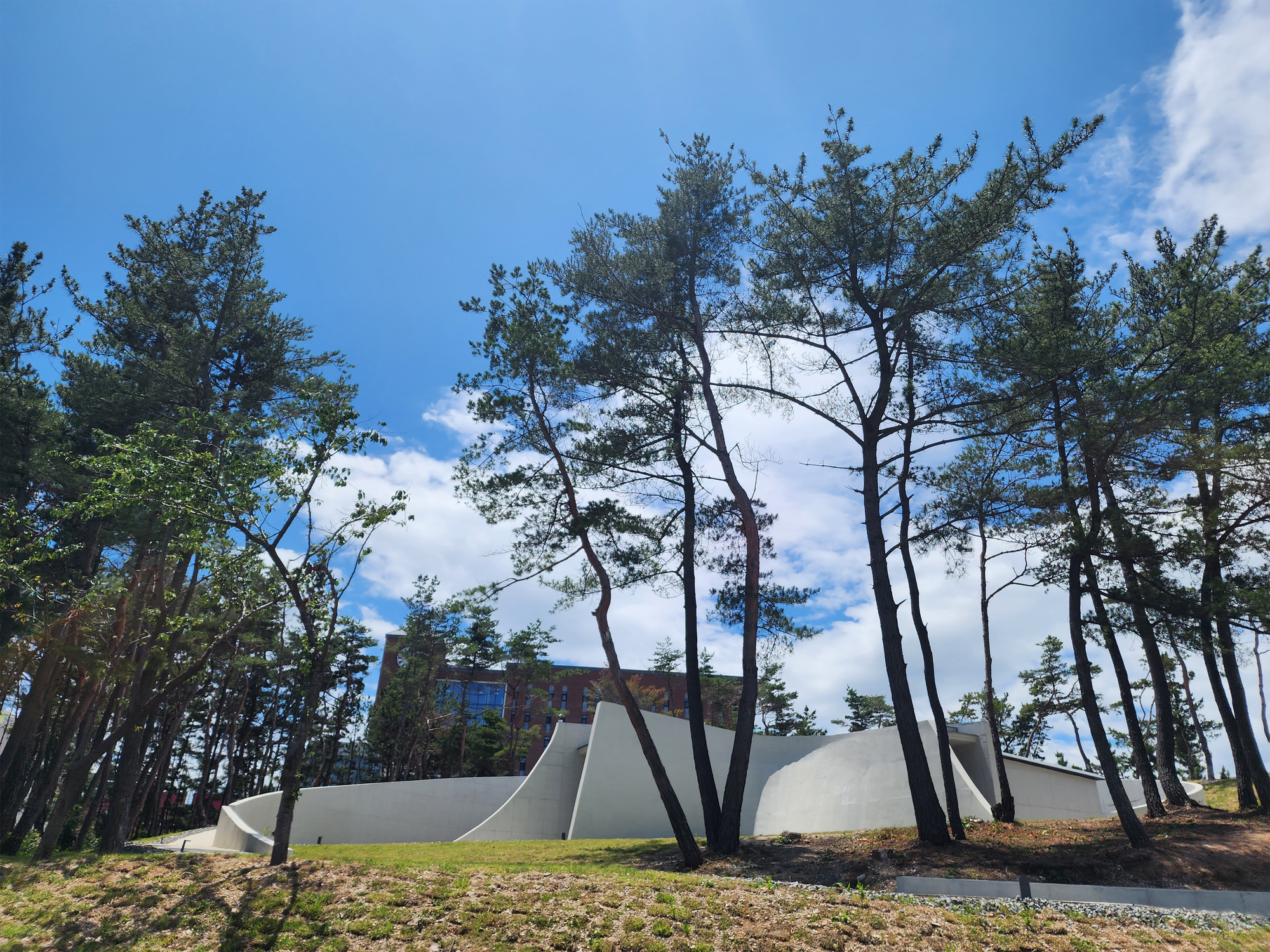 Gallery of Handong University Prayer Room Heaven's Voice / Itm Yooehwa ...