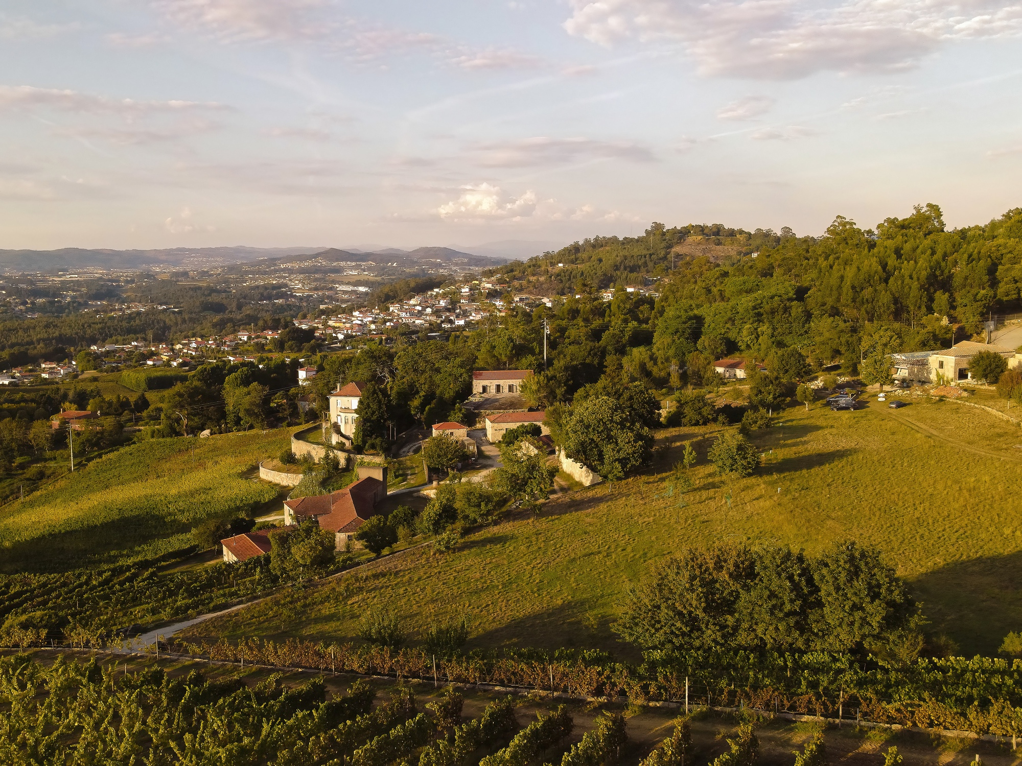 Gallery of House Eira do Cruzeiro / NOVA - 6