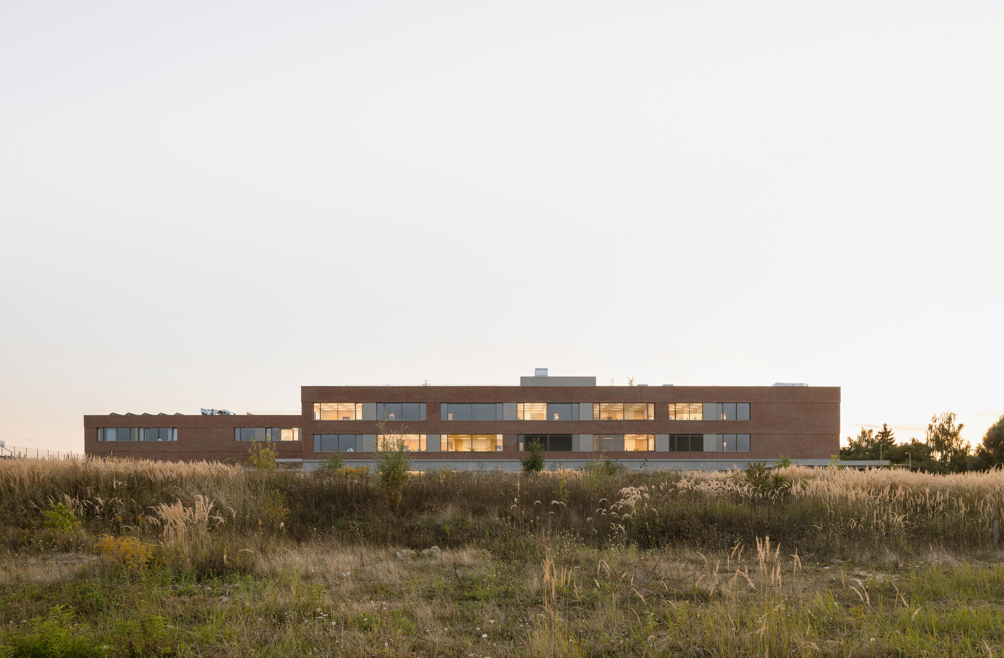 Gallery of VIDA Elementary School / OVA - 21