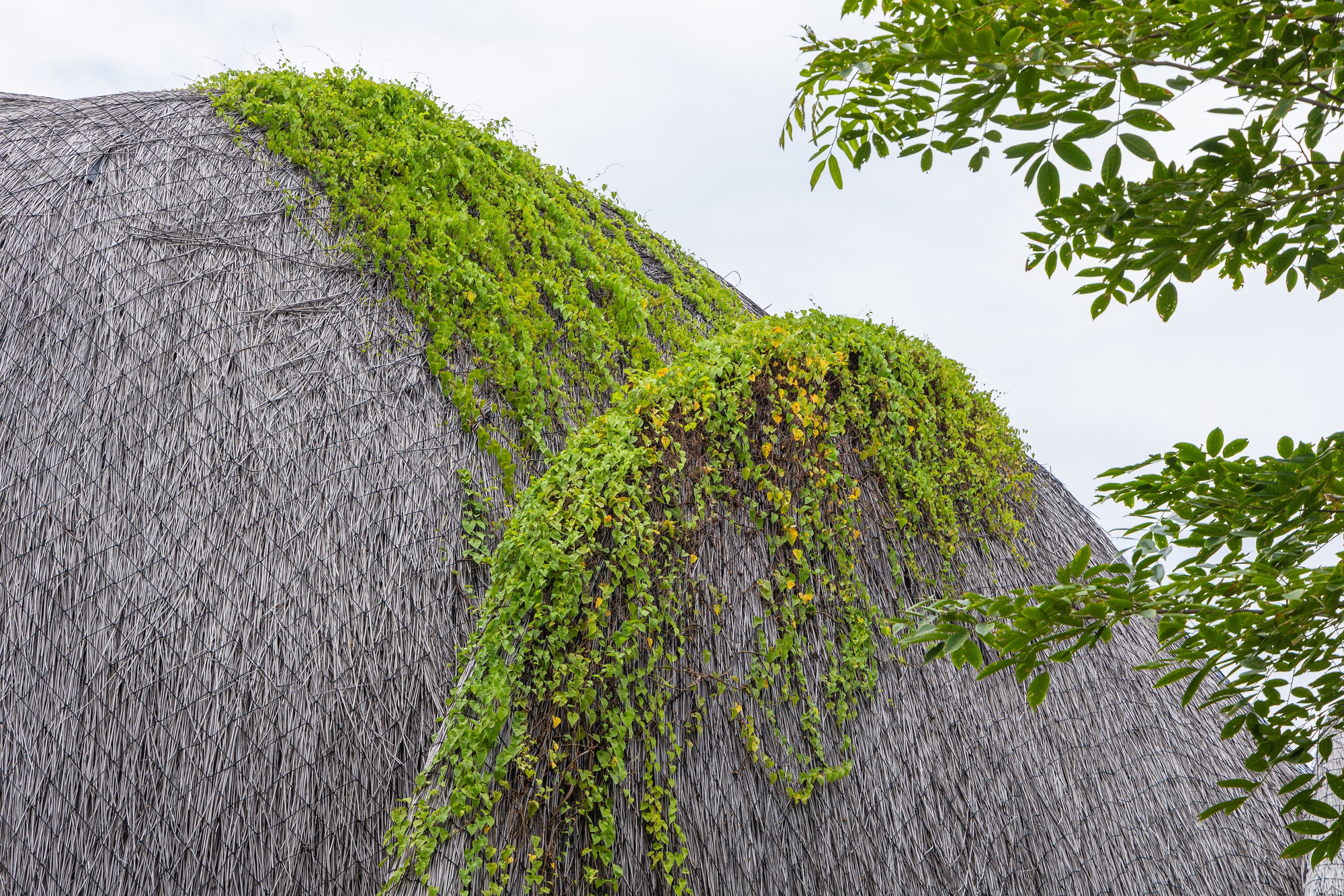画廊 果特花园俱乐部会所 / Ho Khue Architects - 8