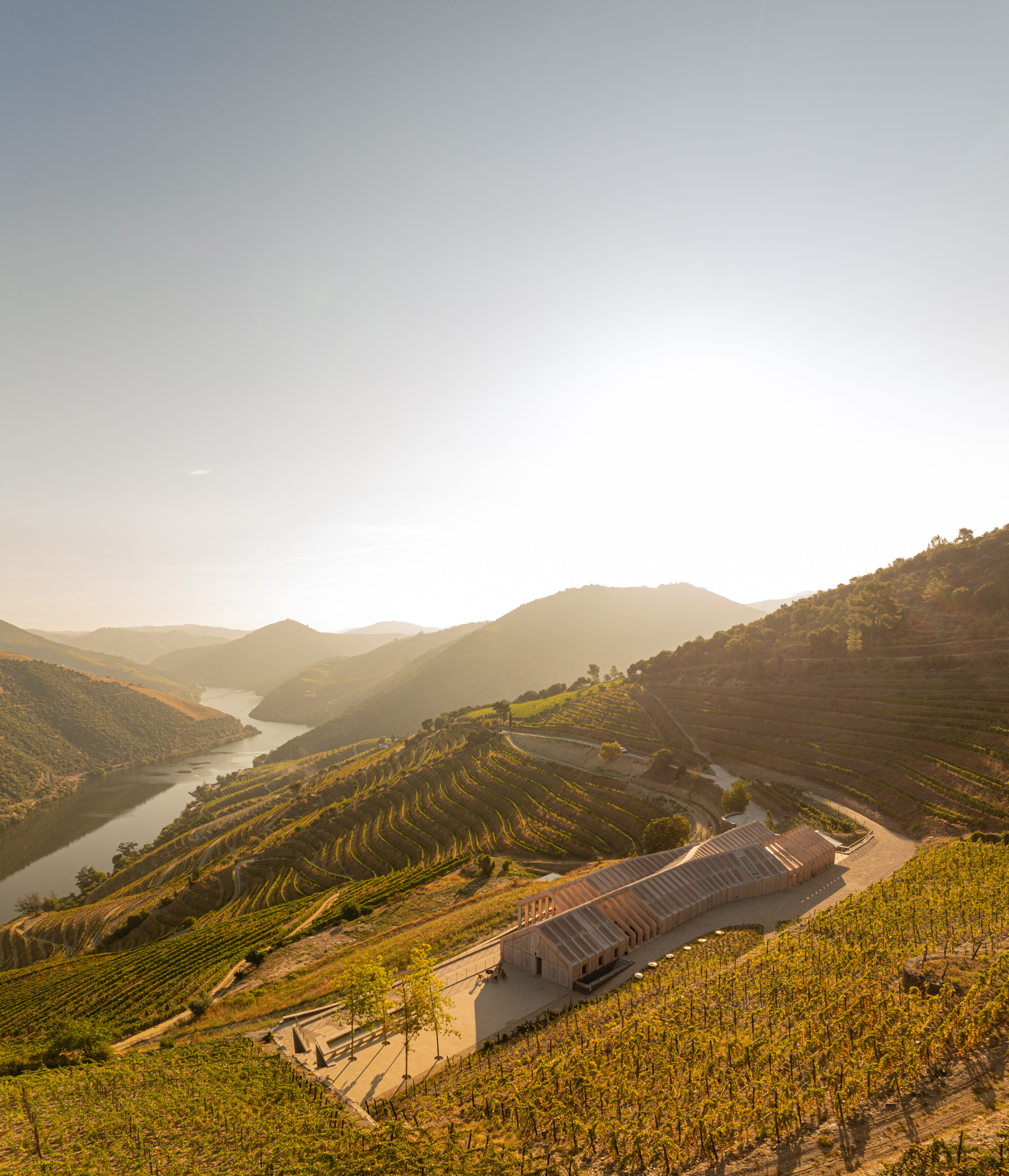 Gallery of Adorigo Farm Winery / Atelier Sergio Rebelo - 6