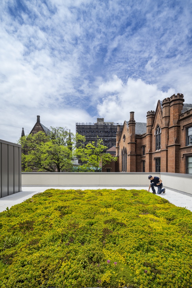 Gallery of The Packer Collegiate Institute Garden House School / WXY ...