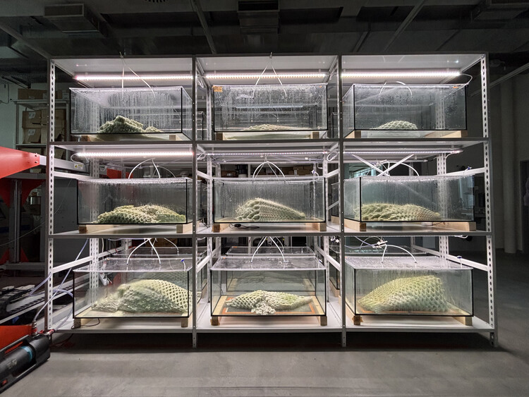 From Material Intelligence to Circularity: Lessons from Architecture in 2025 | ArchDaily