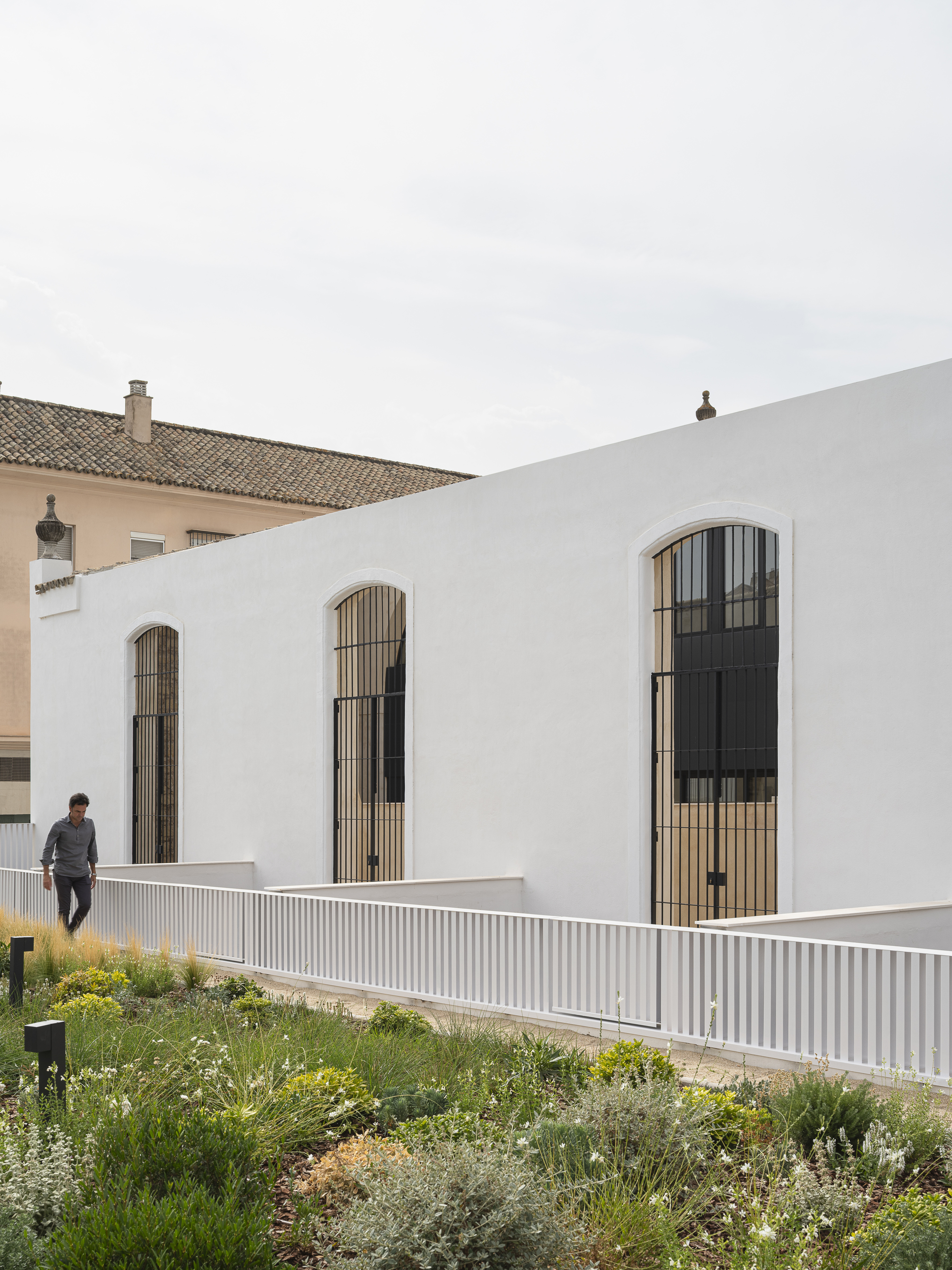 Gallery of De la Riva Sherry Homes / Juan Vega Arquitectos - 2