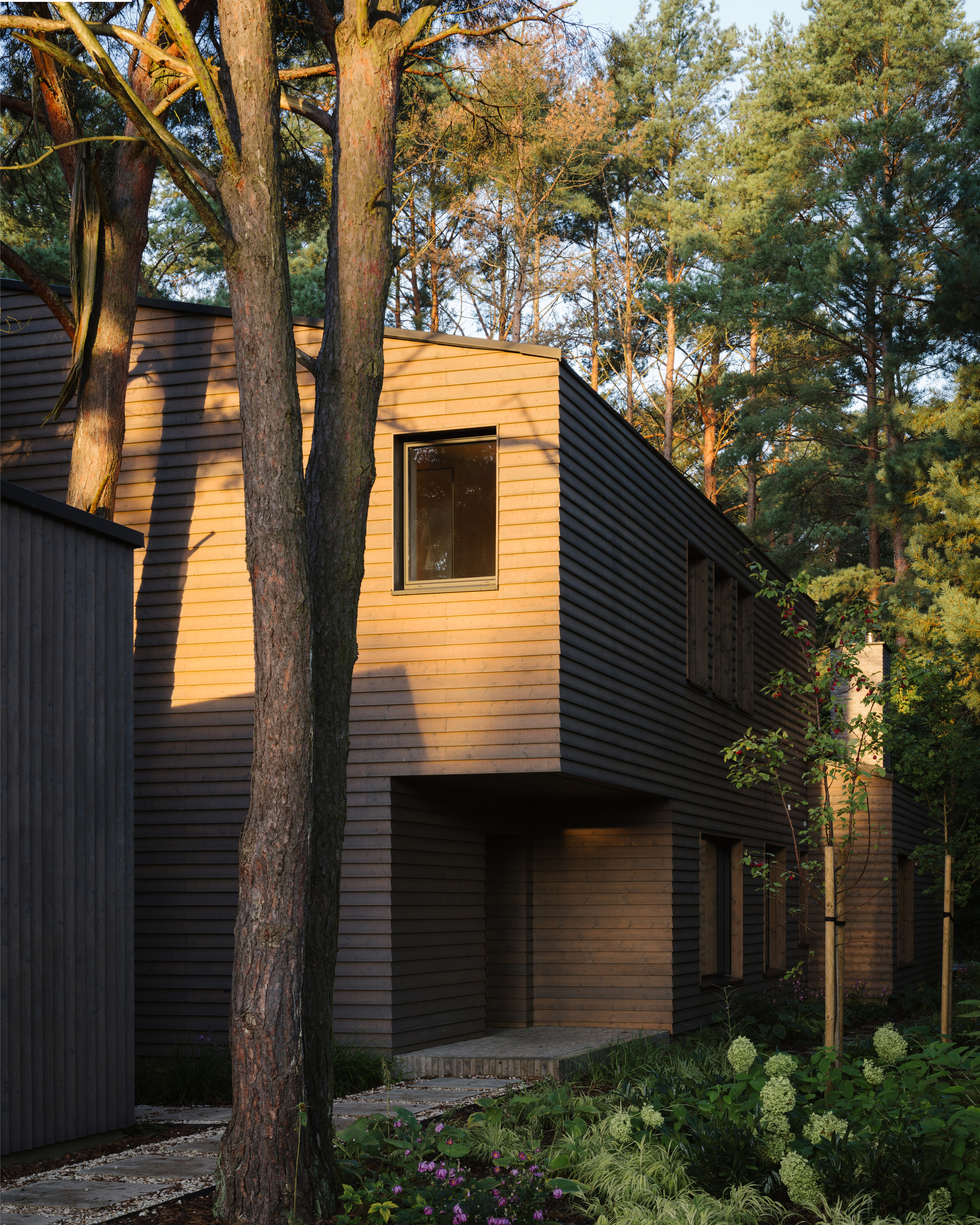 Gallery of Residence on the Edge of National Forest / Studio GAB - 2
