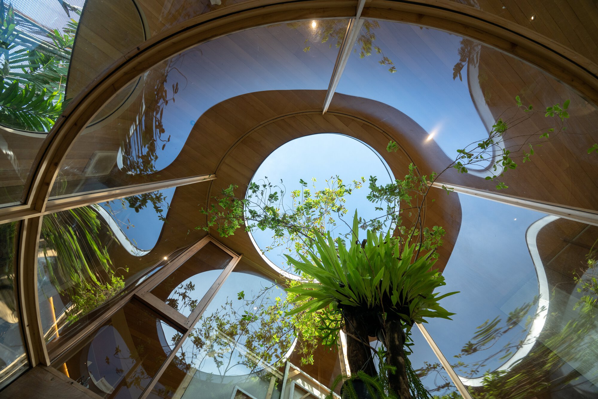Gallery of Terrarium House / Unknown Surface Studio - 30