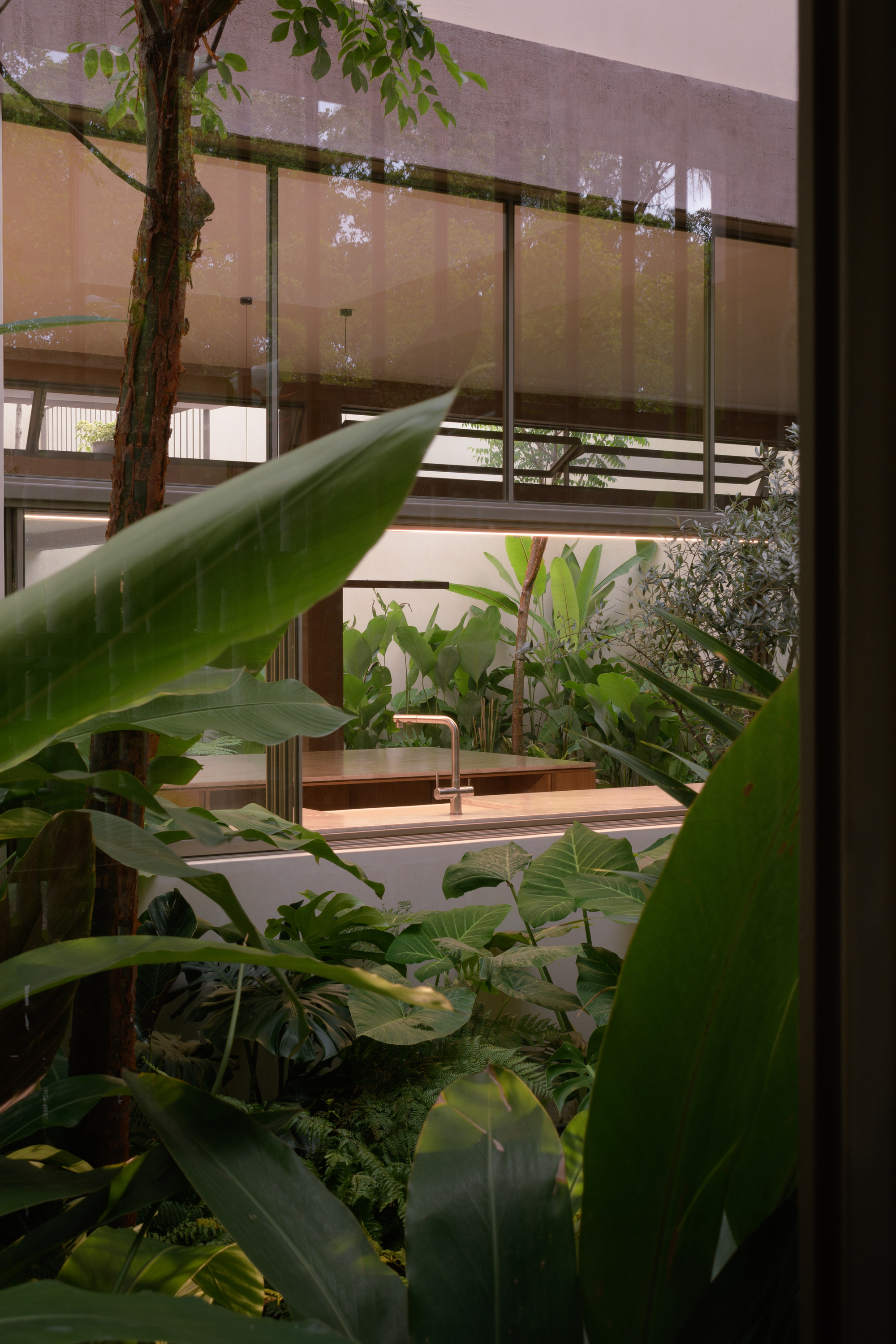 Gallery of Paseo House of Cantera / Antumbra estudio - 14
