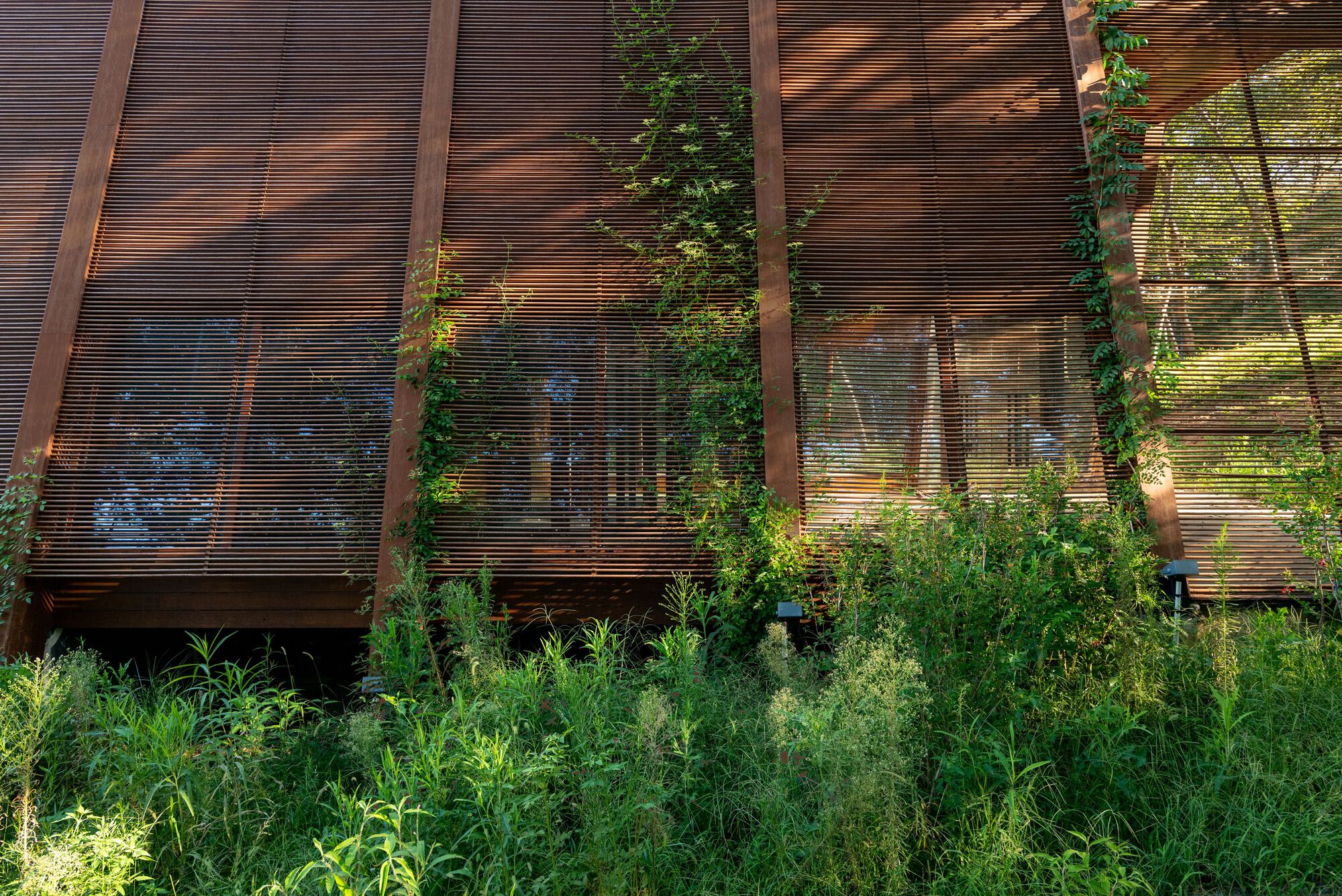 Gallery of House of Knowledge / Christoph Hesse Architects - 14
