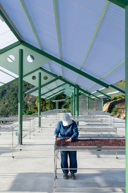 Terraweave Estate (Tiantian) Coffee Drying Yard / Edge Architects ...