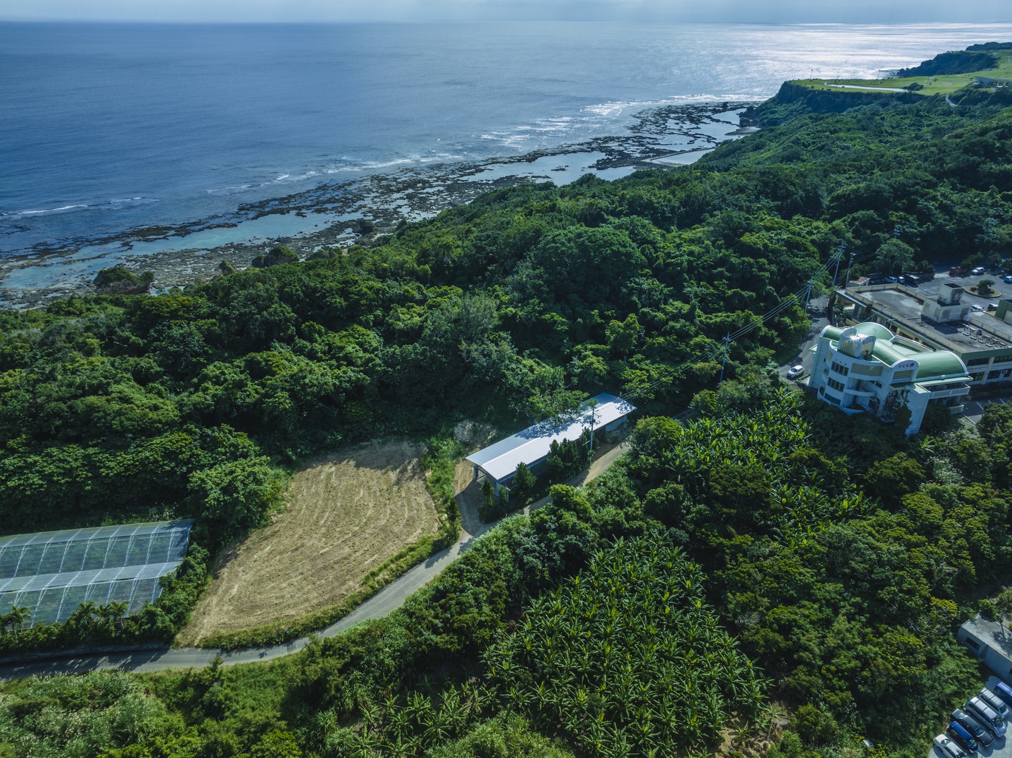 Gallery of Studio In Gushichan / Studio Cochi Architects - 28