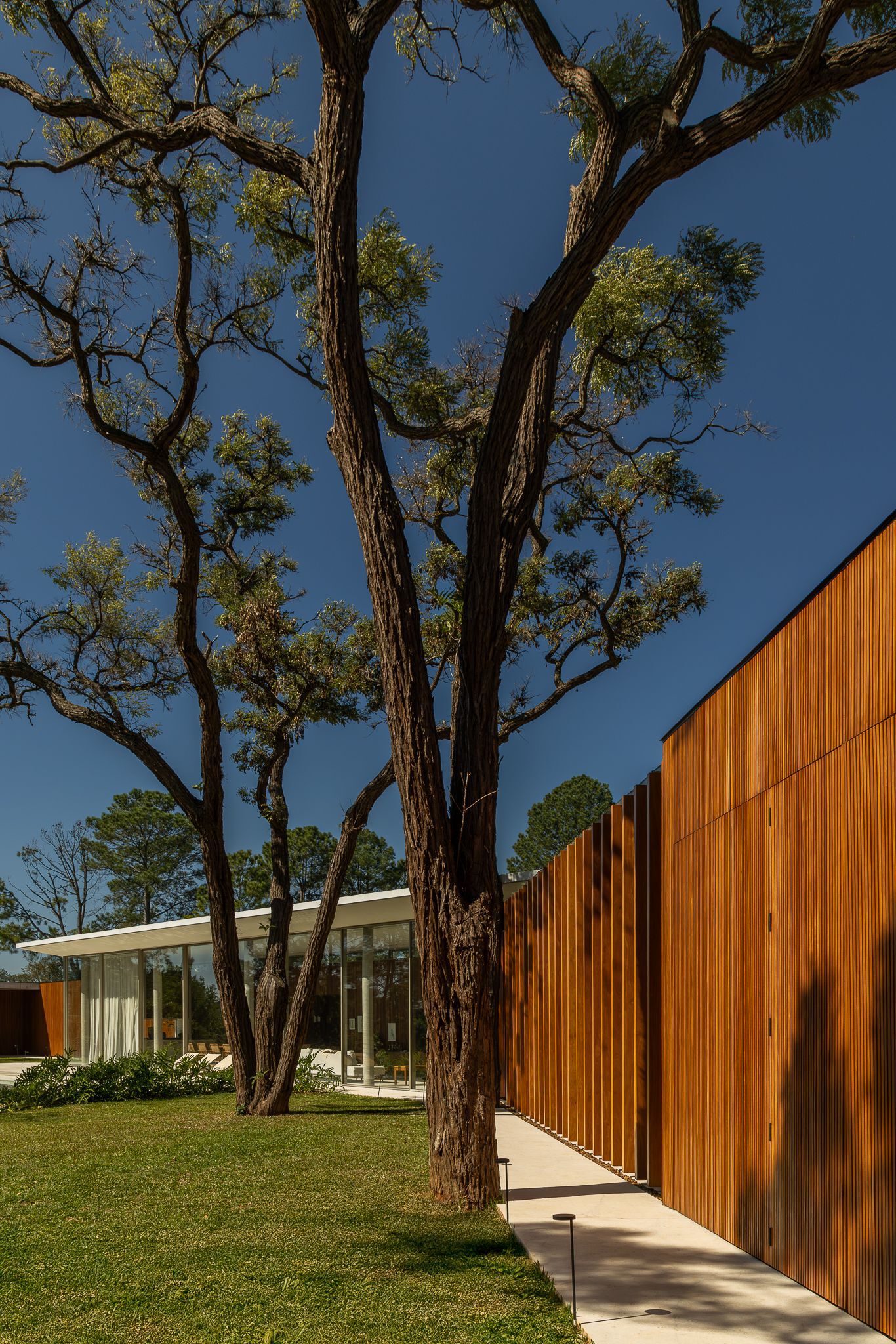 Gallery of GC House / Estúdio Naia - 8