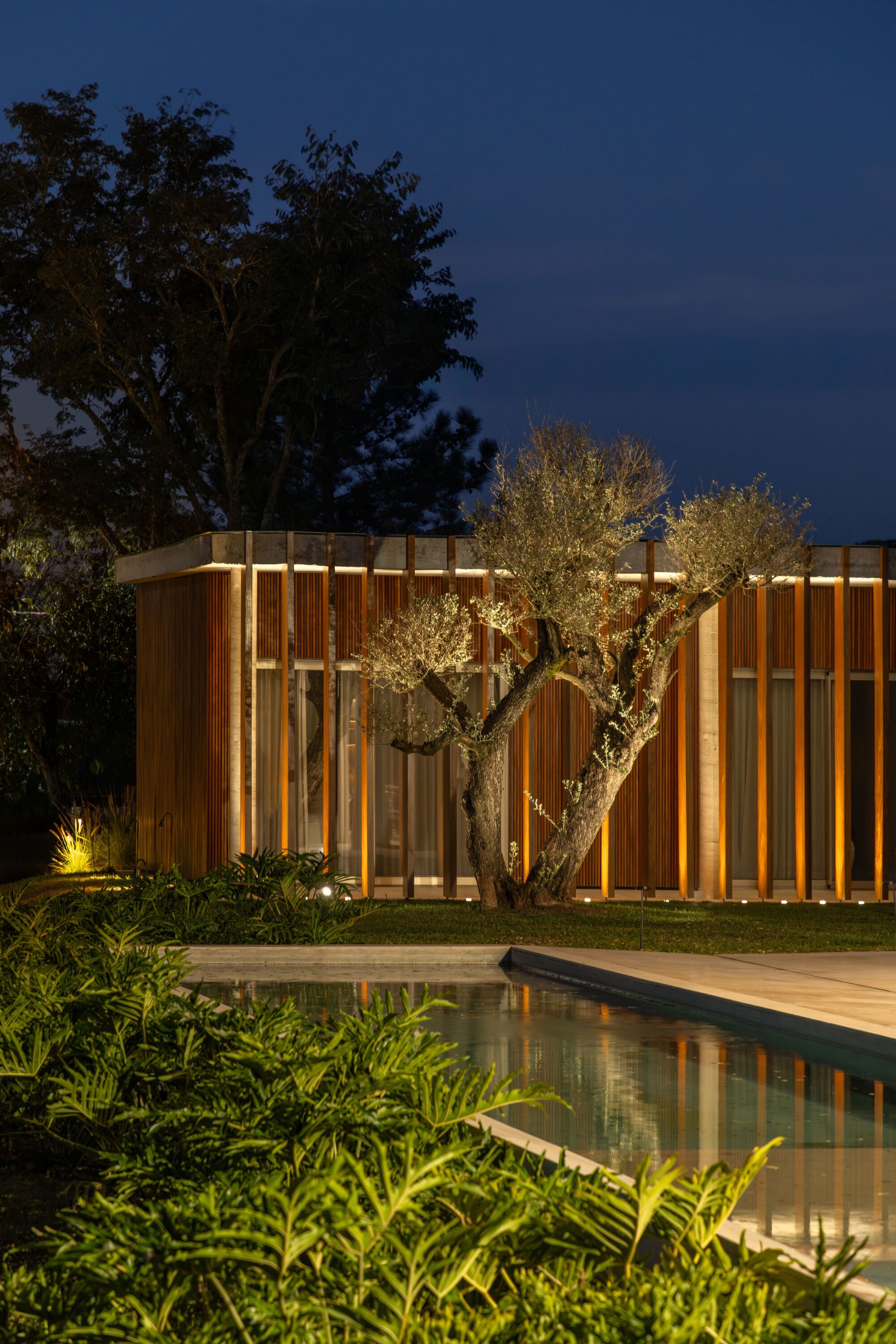 Gallery of GC House / Estúdio Naia - 25