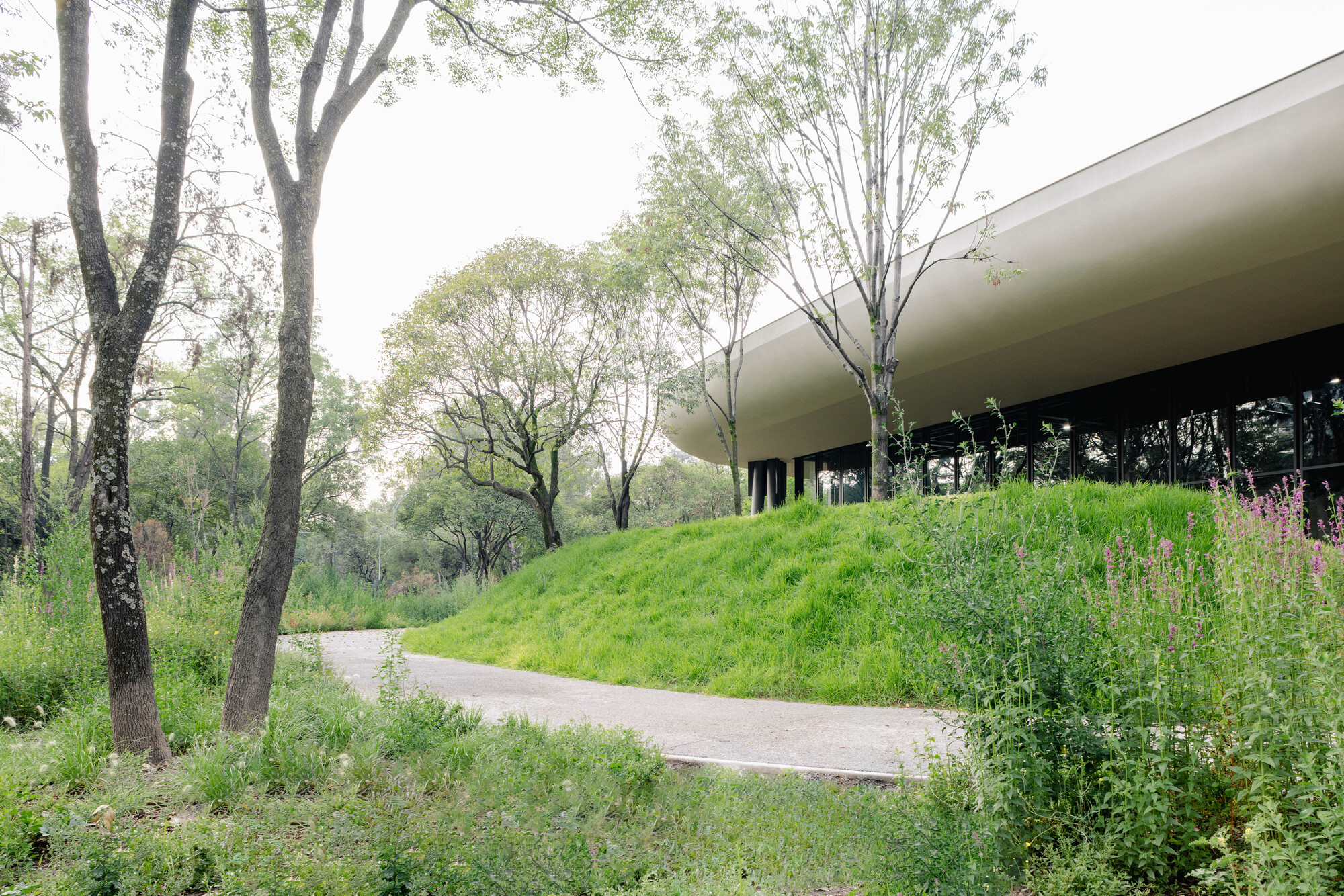 Gallery of Chapultepec Forest Scenic Garden / Michan Architecture ...