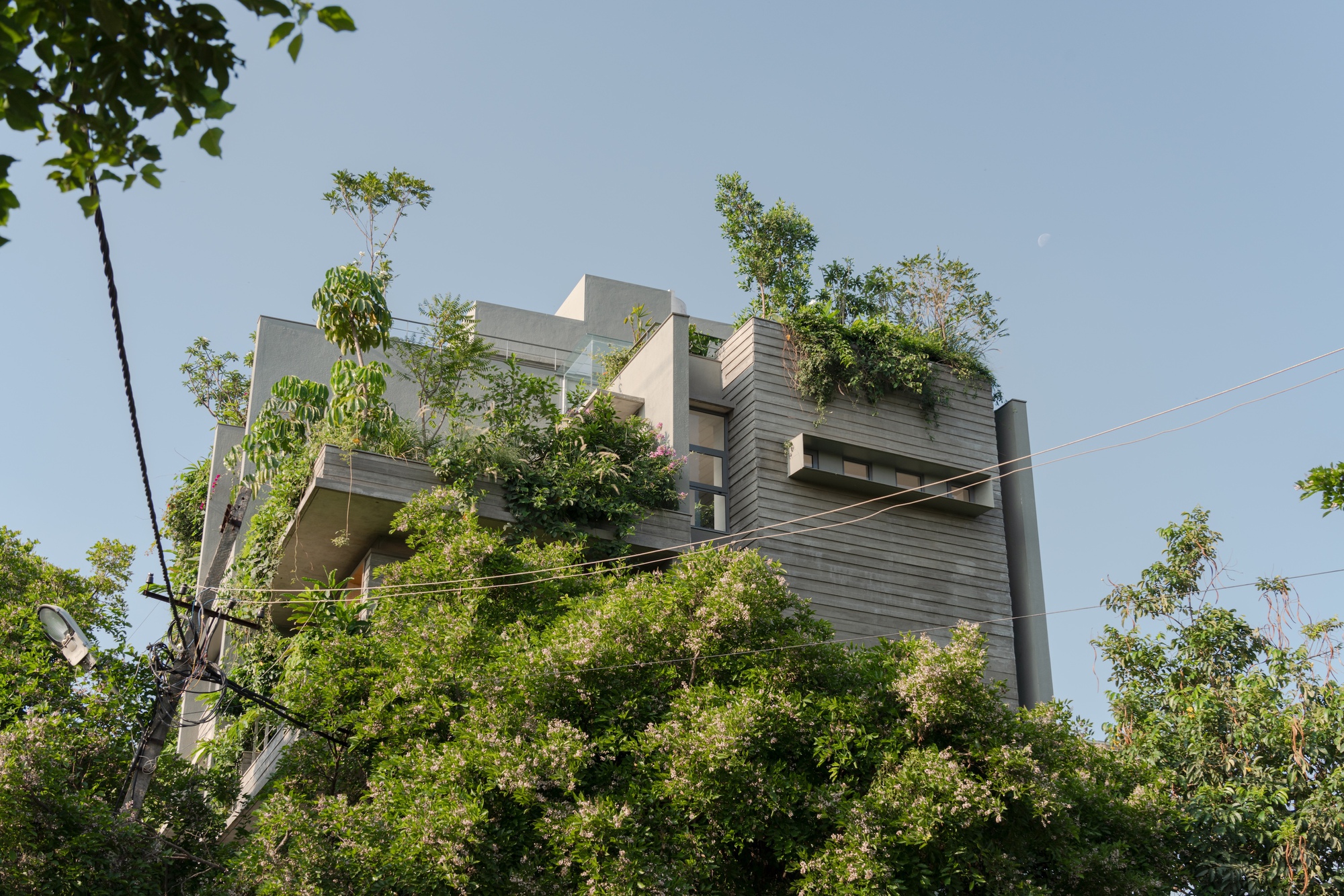 Gallery of Stepped Well House / A Threshold - 7