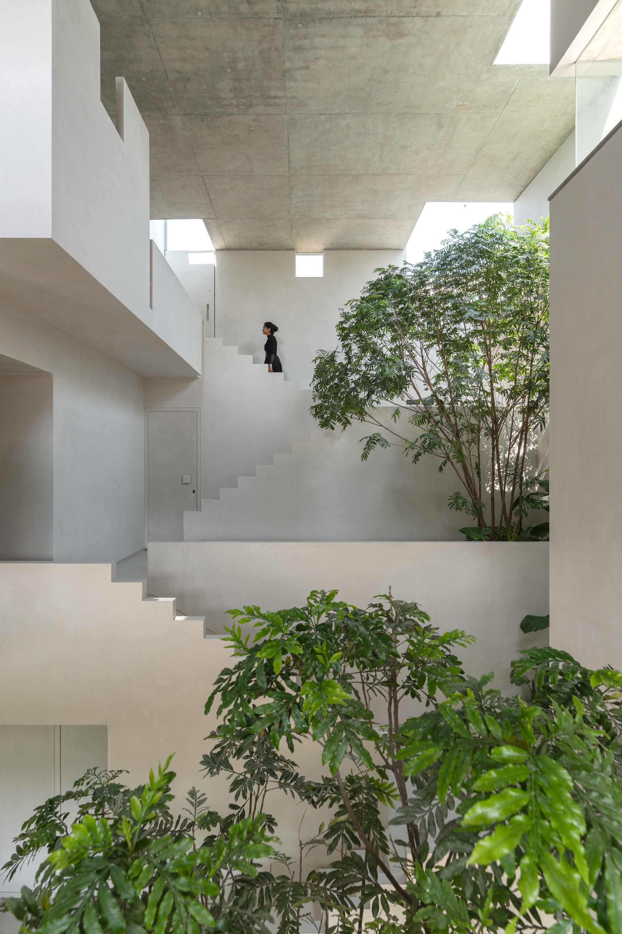 Gallery of Stepped Well House / A Threshold - 3