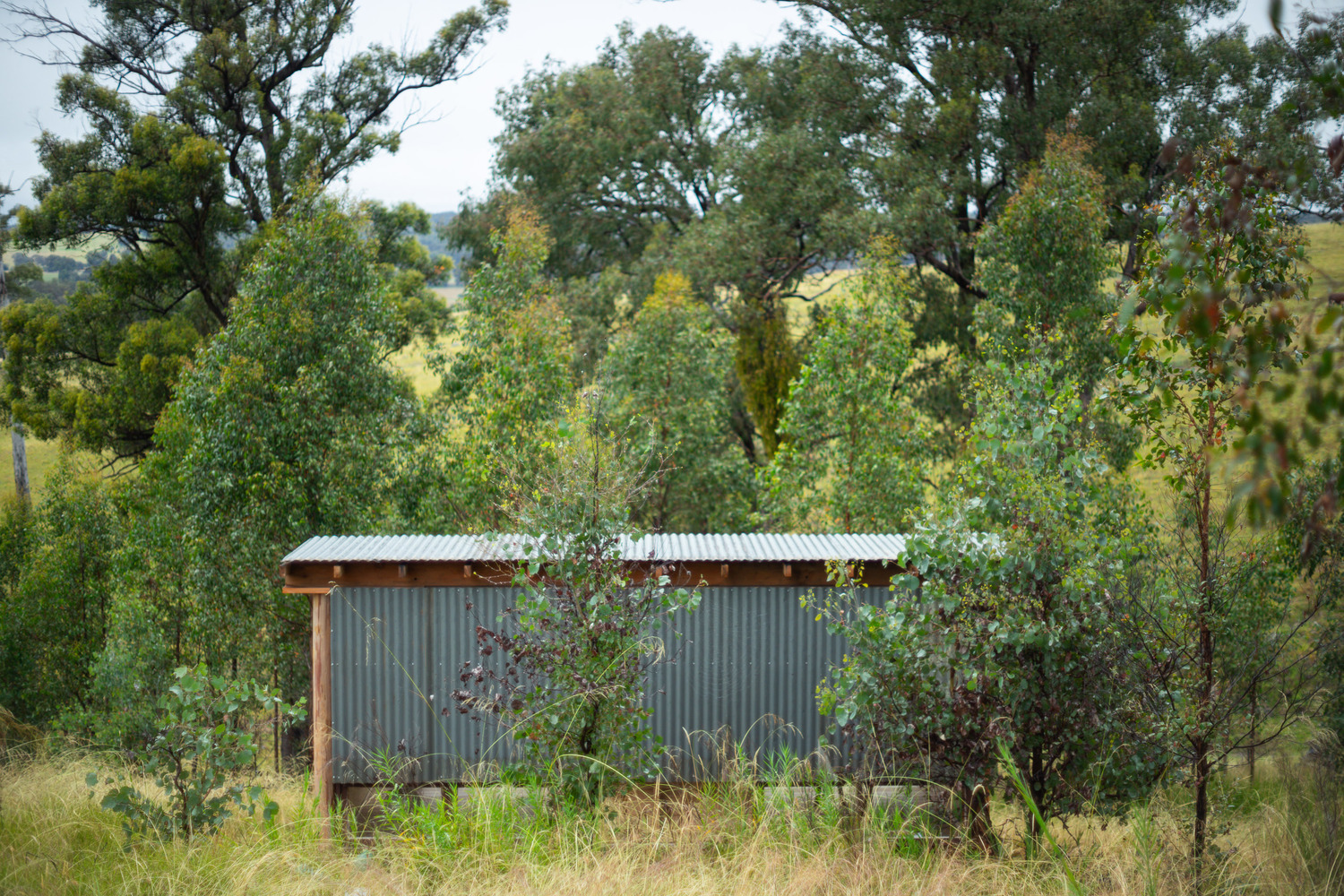 Gallery of Building with Trees: Rethinking Architecture’s Relationship ...