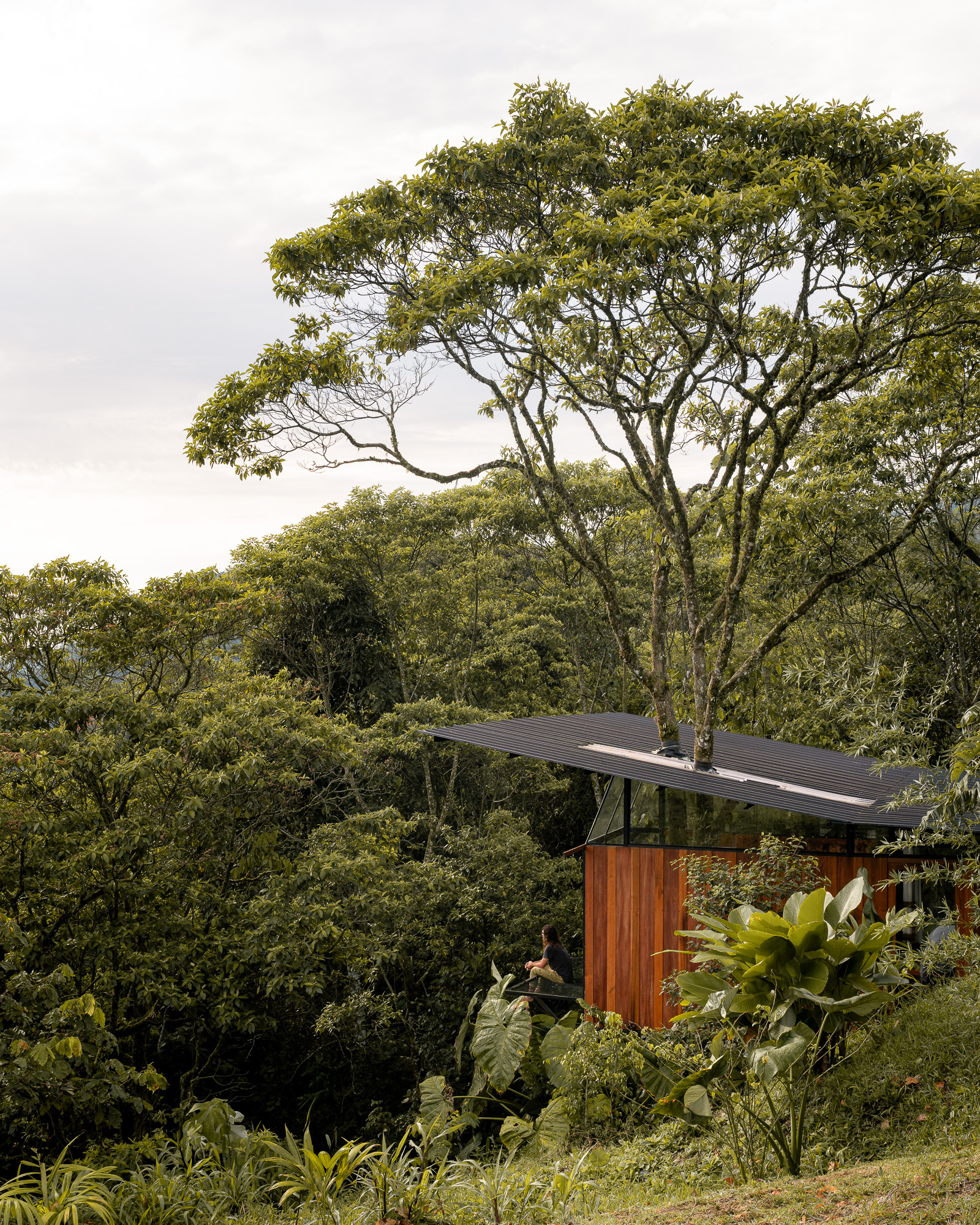 Gallery of 40+ Contemporary Architectural Works Across Ecuador Captured ...