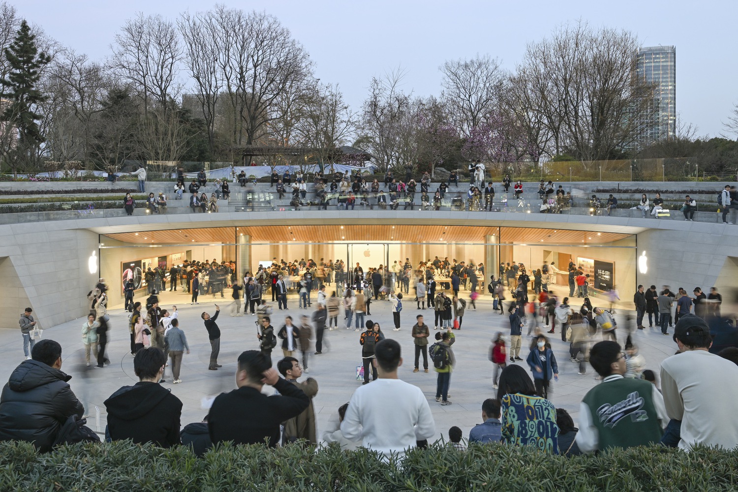 Gallery of Designing a Brand: How Apple Built an Architectural Language ...