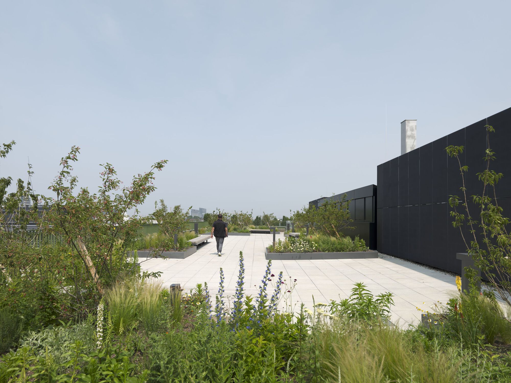 Gallery of i8 - iCampus in Werksviertel / C.F. Møller - 5