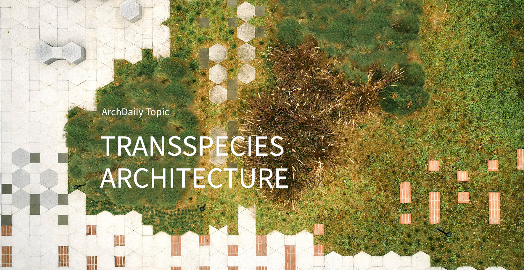 Transspecies Architecture: ArchDaily’s June Editorial Focus | ArchDaily