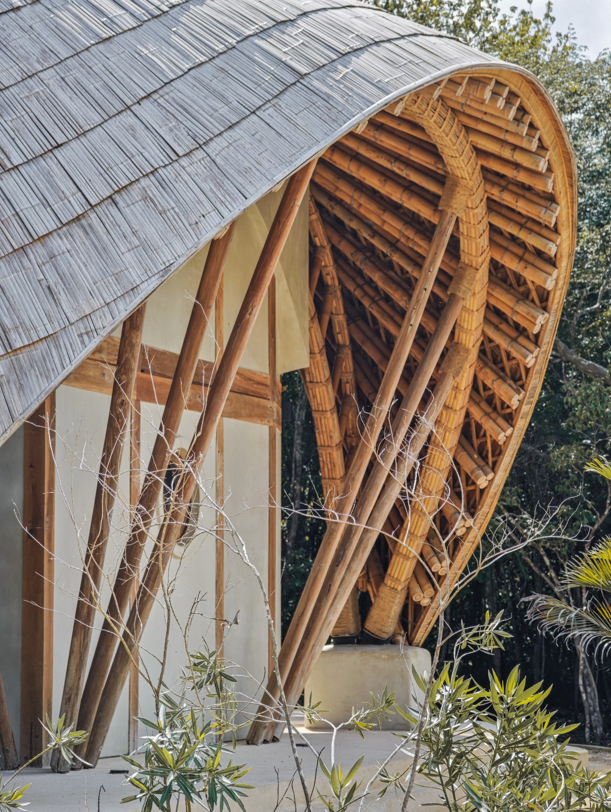 Galeria de Vila CORA – Casa de bambu em Tulum / terrAurea studio - 4
