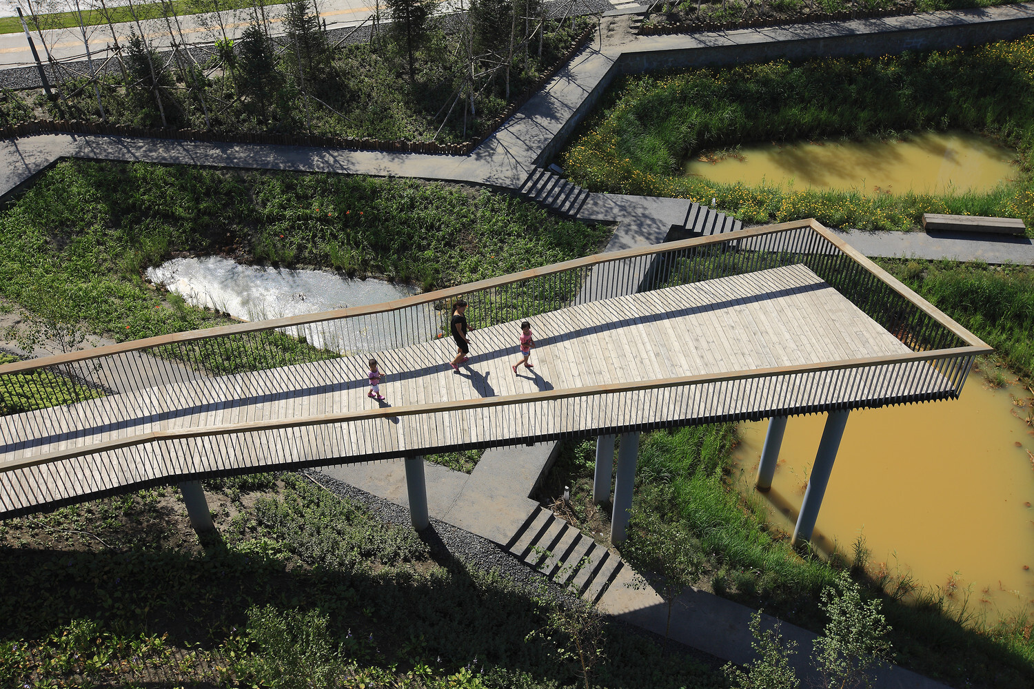 Gallery of Heat as a Design Partner: Trees, Soil, and Wind Corridors as ...