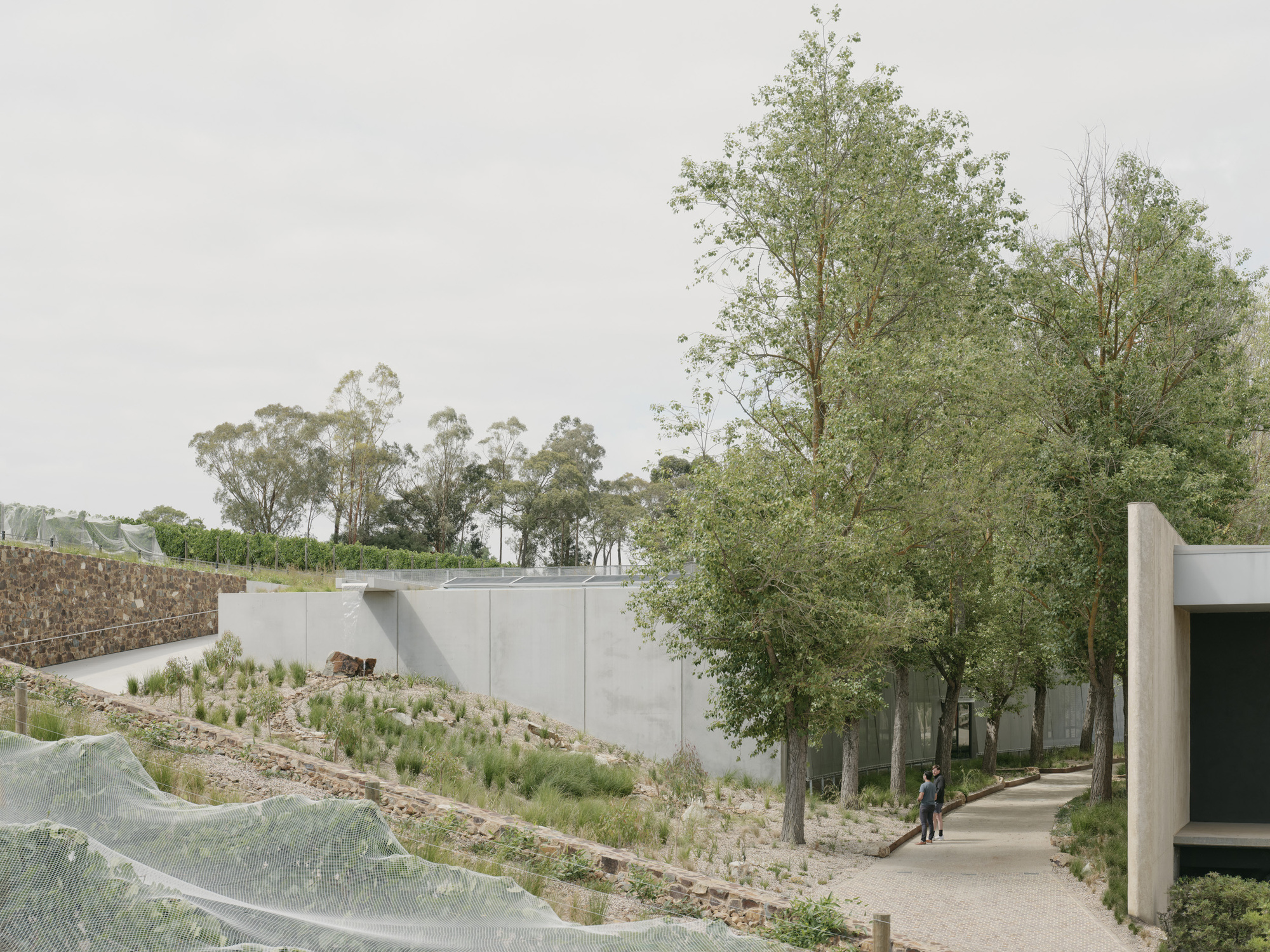 Gallery of Eva and Marc Besen Centre / Kerstin Thompson Architects - 5
