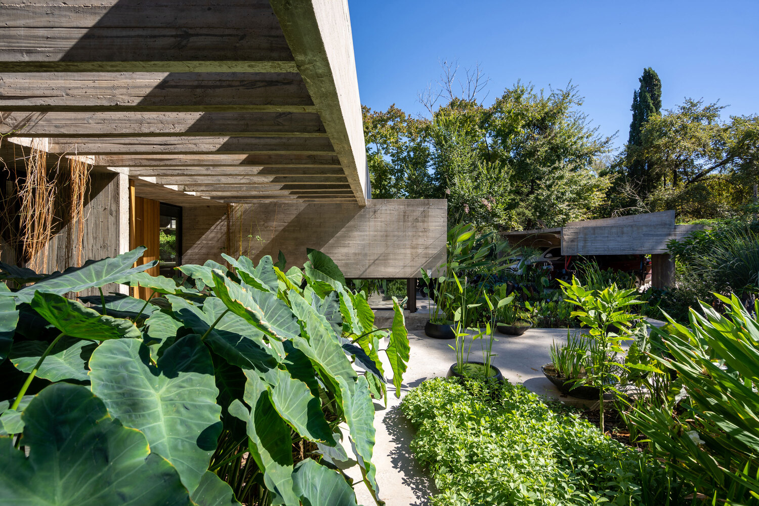 Galería de Casa Leloir / Besonias Almeida Arquitectos - 1