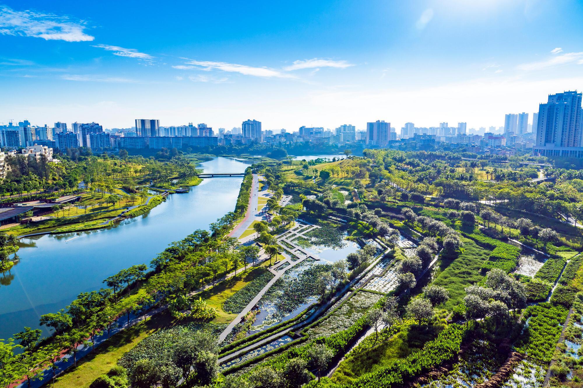 On Housing, Public Space, and Climate Resilience: In Conversation with ...
