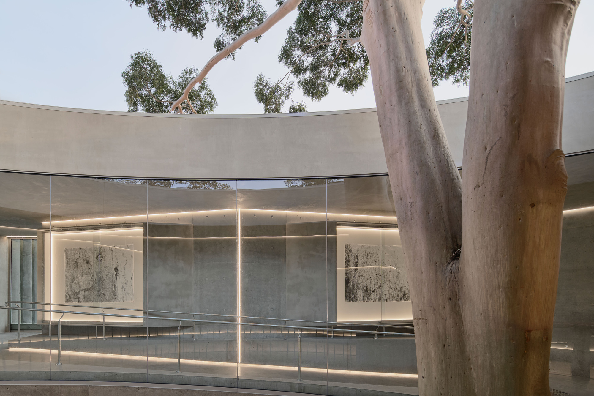 Gallery of Gallery For A Tree "Flyover" Marcellin College / Farrell ...