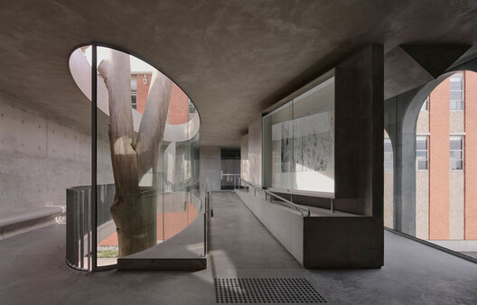 Gallery For A Tree "Flyover" Marcellin College / Farrell Wray ...